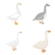 Goose Icons Set Flat Style, Vectors | GraphicRiver