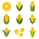 Corn Icons Set Flat Style, Vectors | GraphicRiver