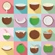 Coconut Icons Set Flat Style, Vectors | GraphicRiver