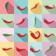 Chili Icons Set Flat Style, Vectors | GraphicRiver