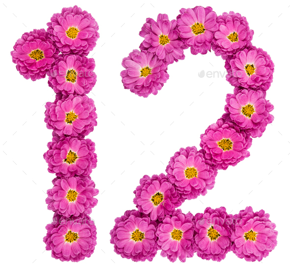 Arabic numeral 12, twelve, from flowers of chrysanthemum, isolated on ...