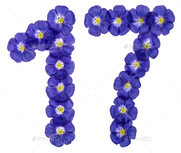 Arabic numeral 17, seventeen, from blue flowers of flax, isolated on ...