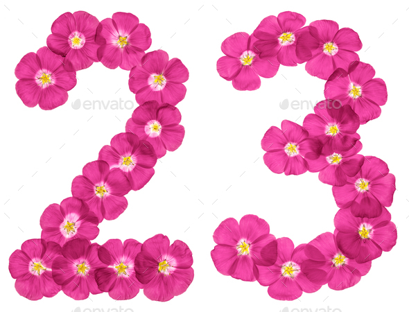 Arabic numeral 23, twenty three, from pink flowers of flax, isolated on ...