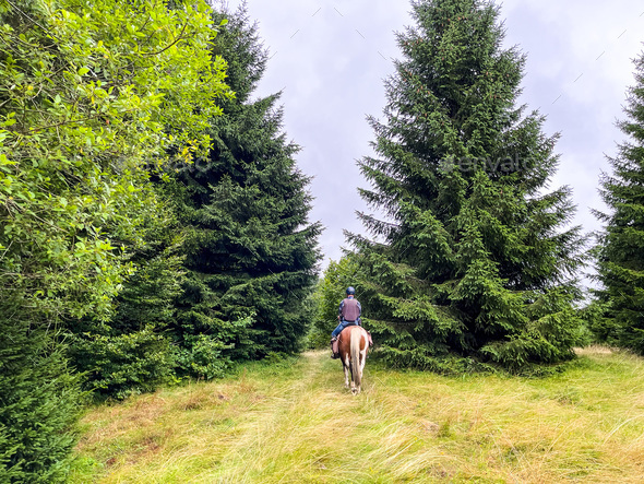 Horse riding in nature Stock Photo by ivanat94 | PhotoDune