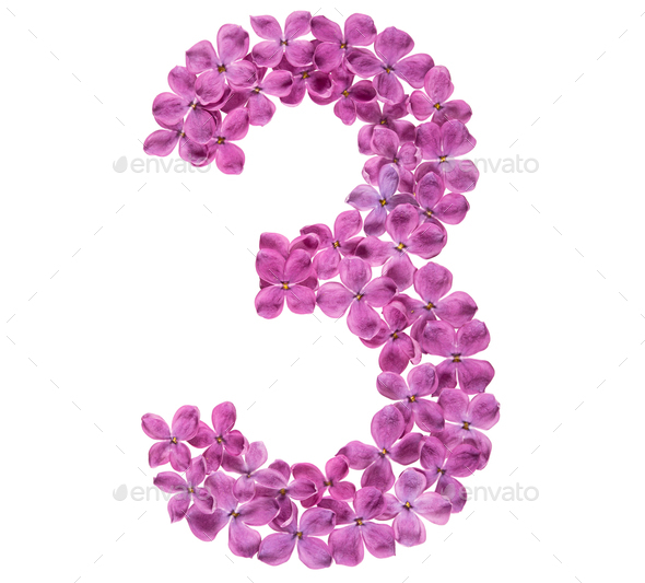 Arabic numeral 3, three, from flowers of lilac, isolated on white ...