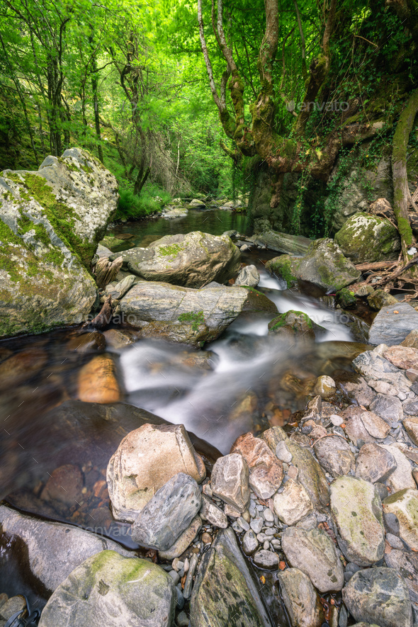 Gneiss and granite rocks between deciduous forests in a stream Stock ...