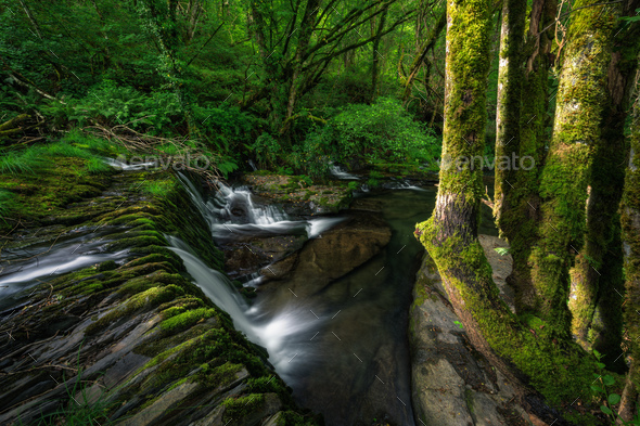 Old limestone dam filters the low flow of a river in summer Stock Photo ...