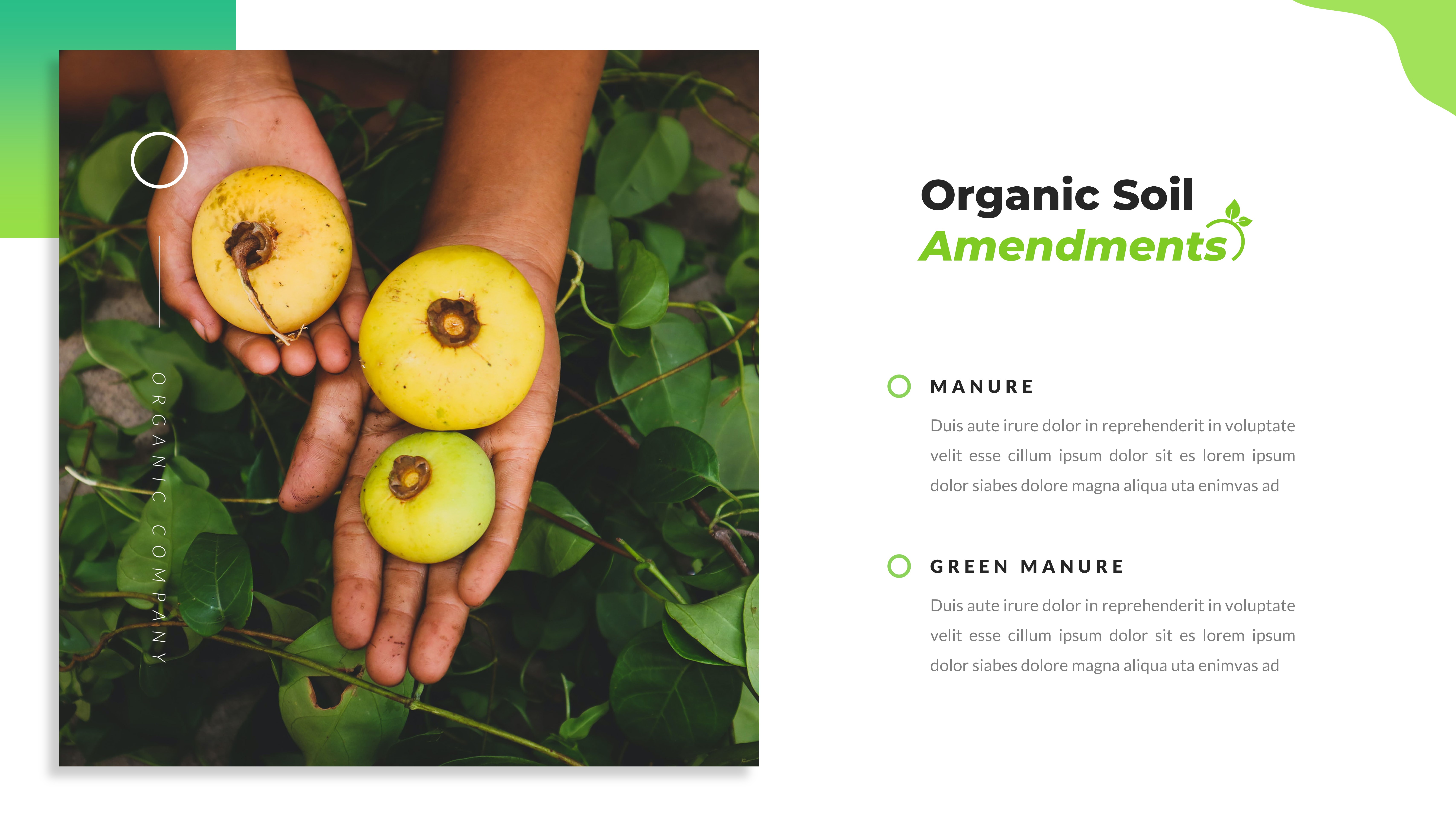 Organic Farm Agriculture Keynote Template, Presentation Templates ...