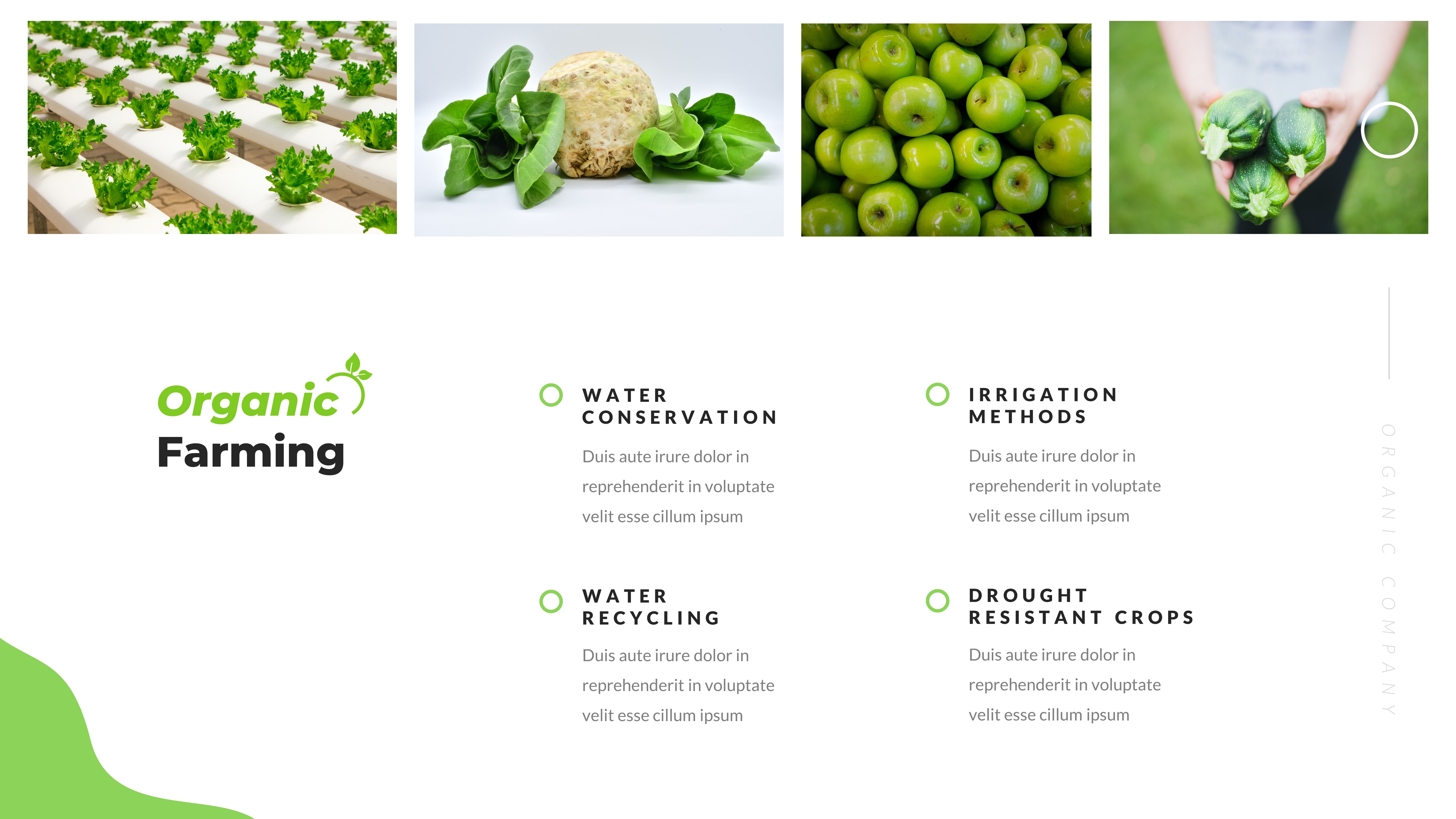 Organic Farm Agriculture Keynote Template, Presentation Templates ...