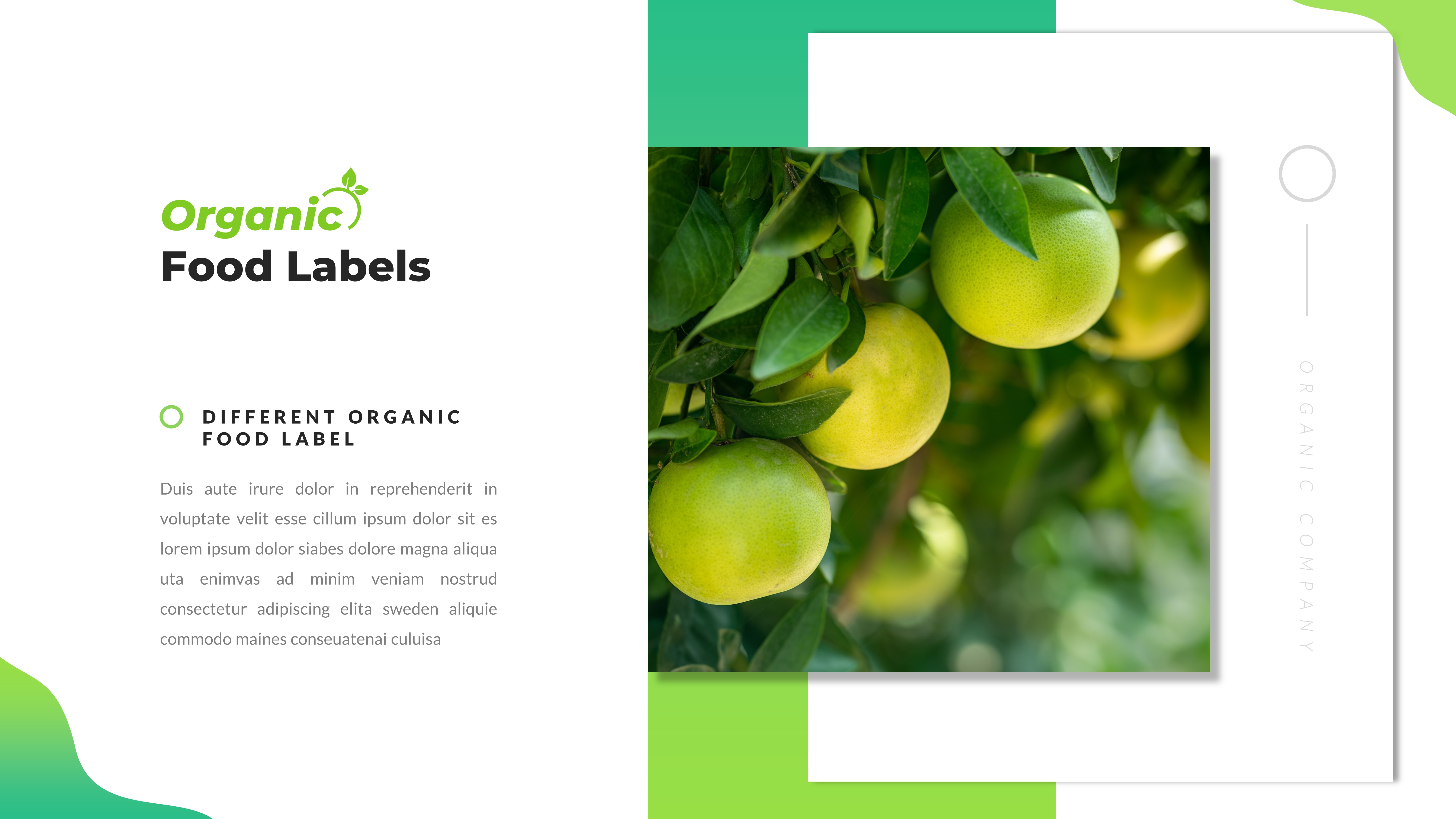 Organic Farm Agriculture Keynote Template, Presentation Templates ...