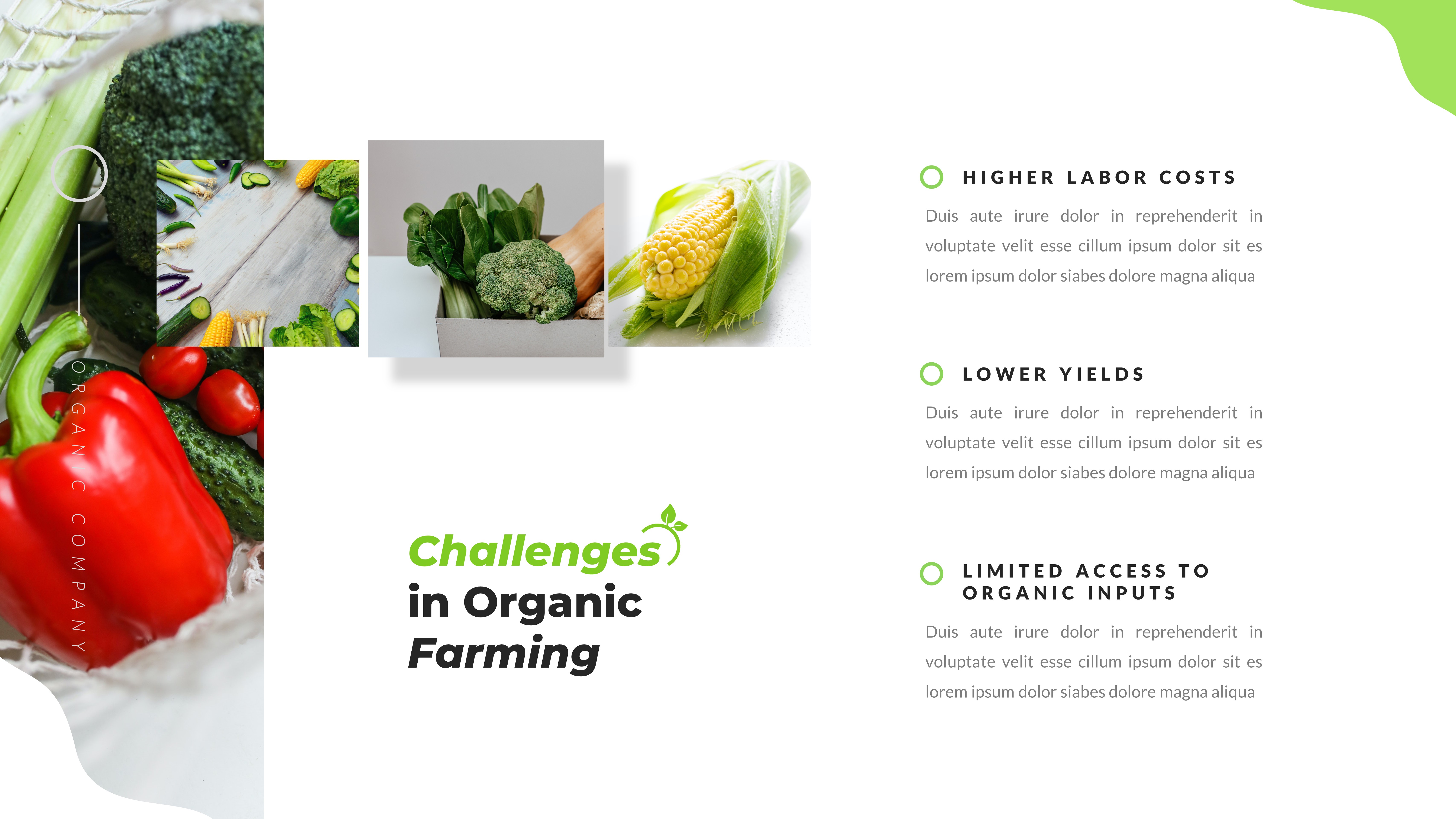 Organic Farm Agriculture Keynote Template, Presentation Templates ...
