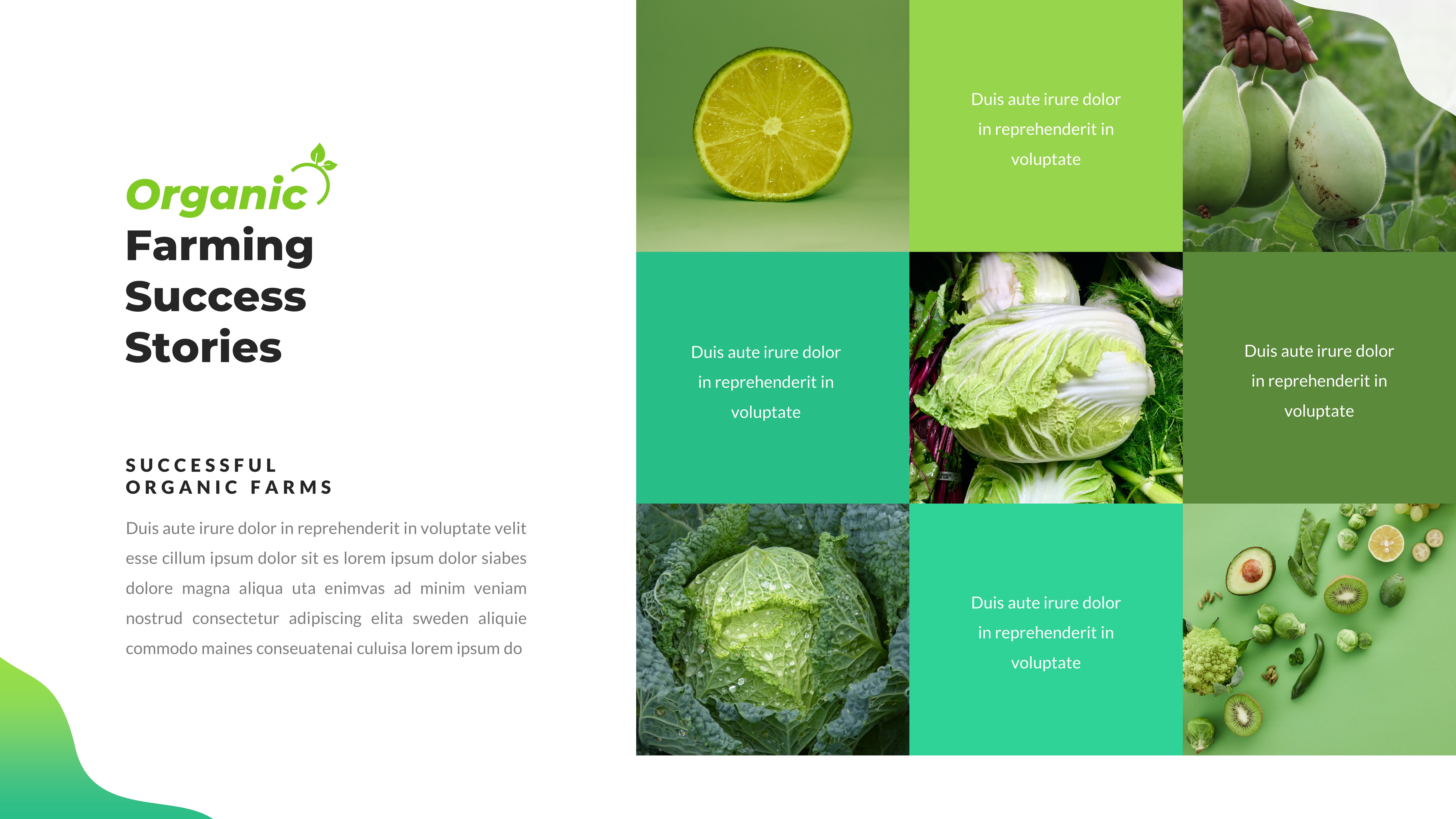 Organic Farm Agriculture Keynote Template, Presentation Templates ...