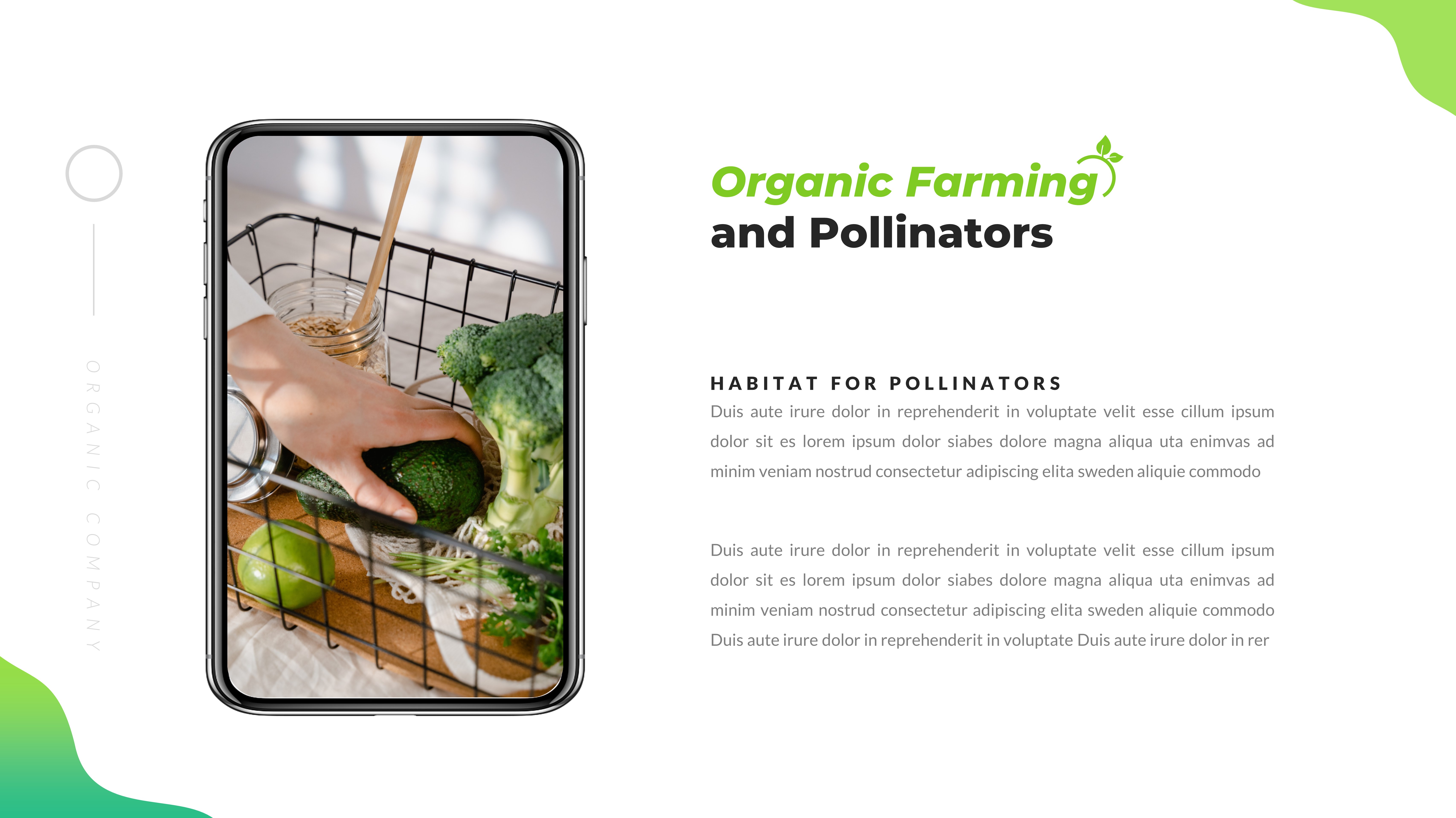 Organic Farm Agriculture Keynote Template, Presentation Templates ...