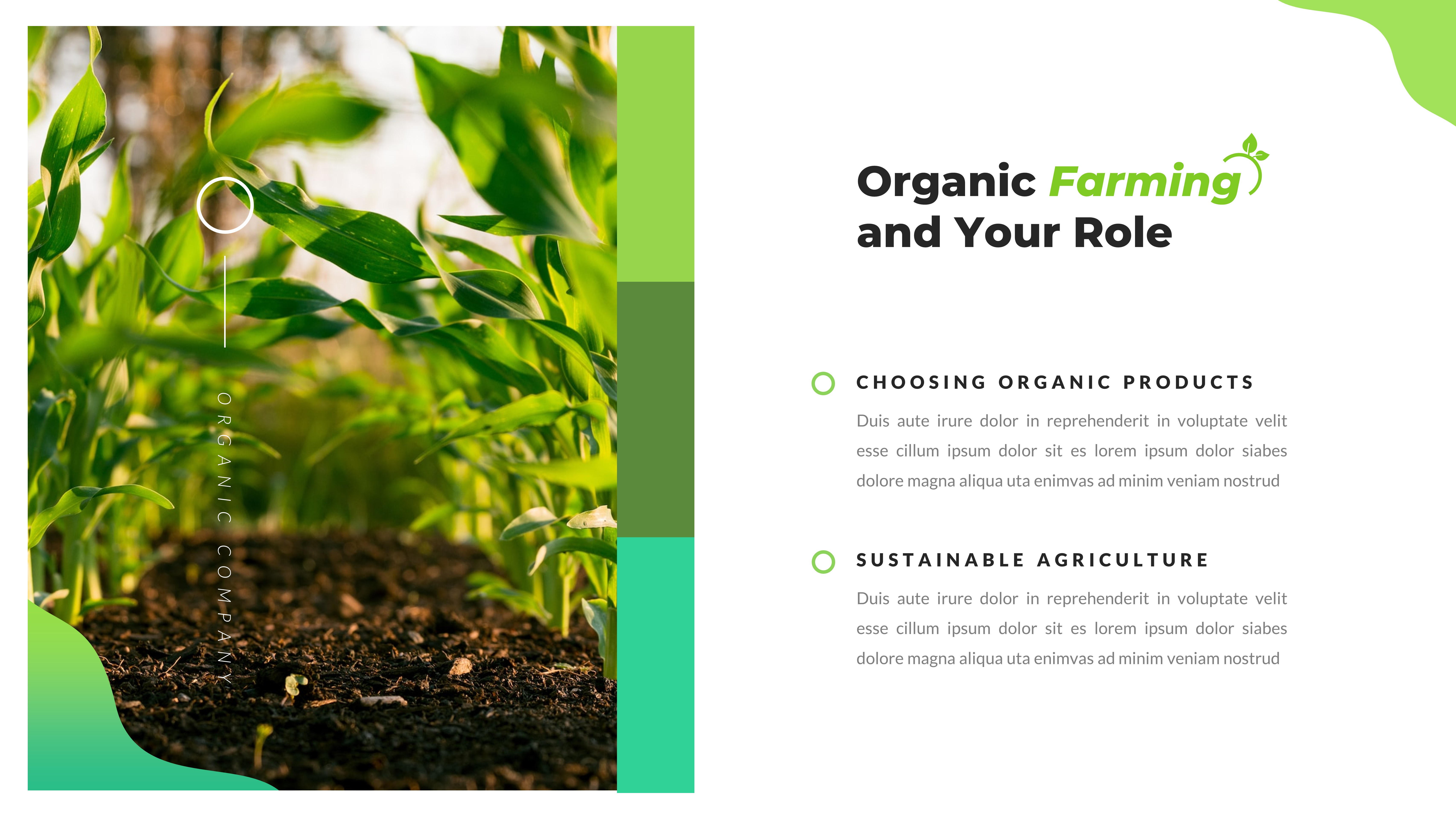 Organic Farm Agriculture Keynote Template, Presentation Templates ...
