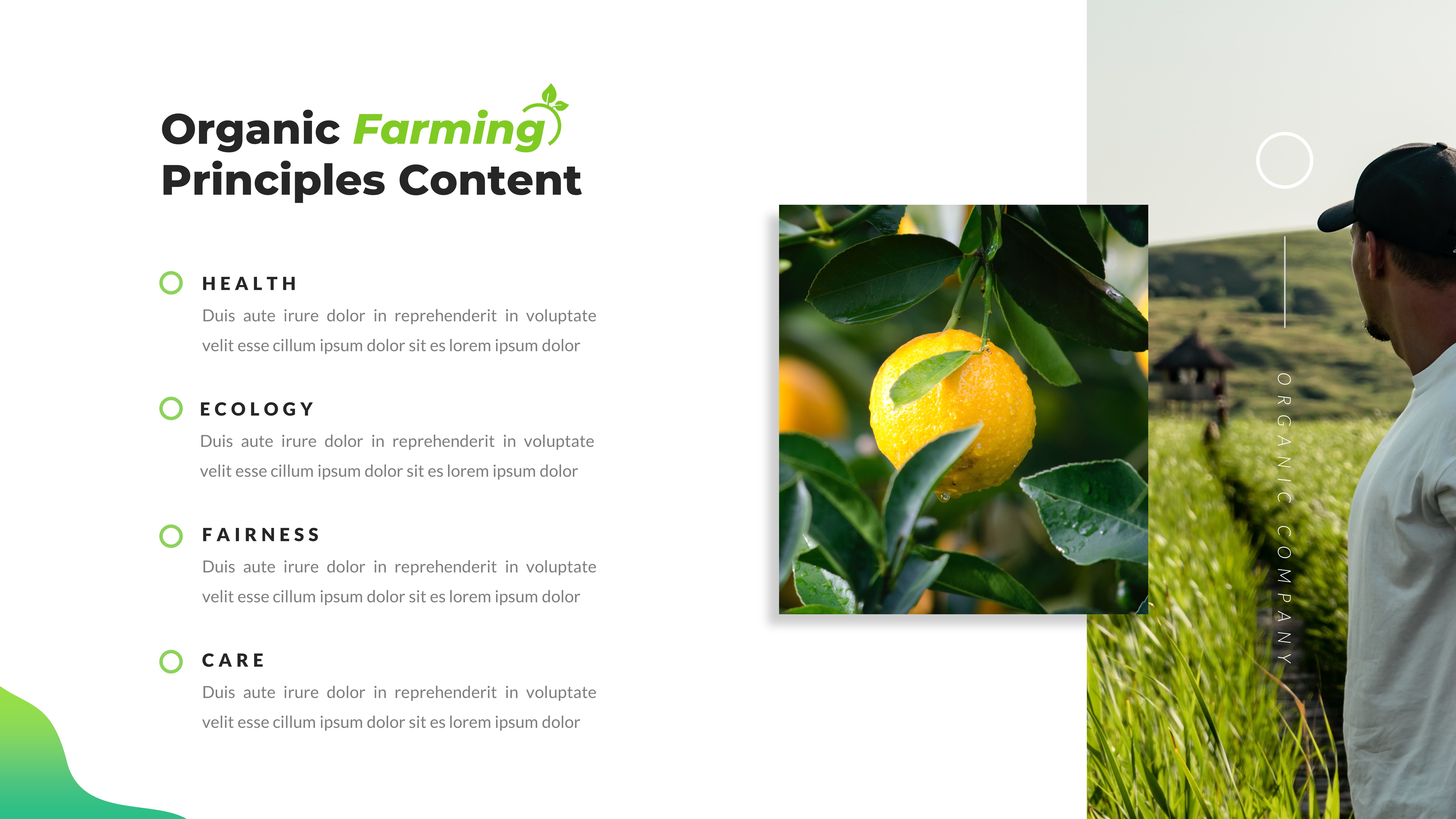 Organic Farm Agriculture Keynote Template, Presentation Templates ...