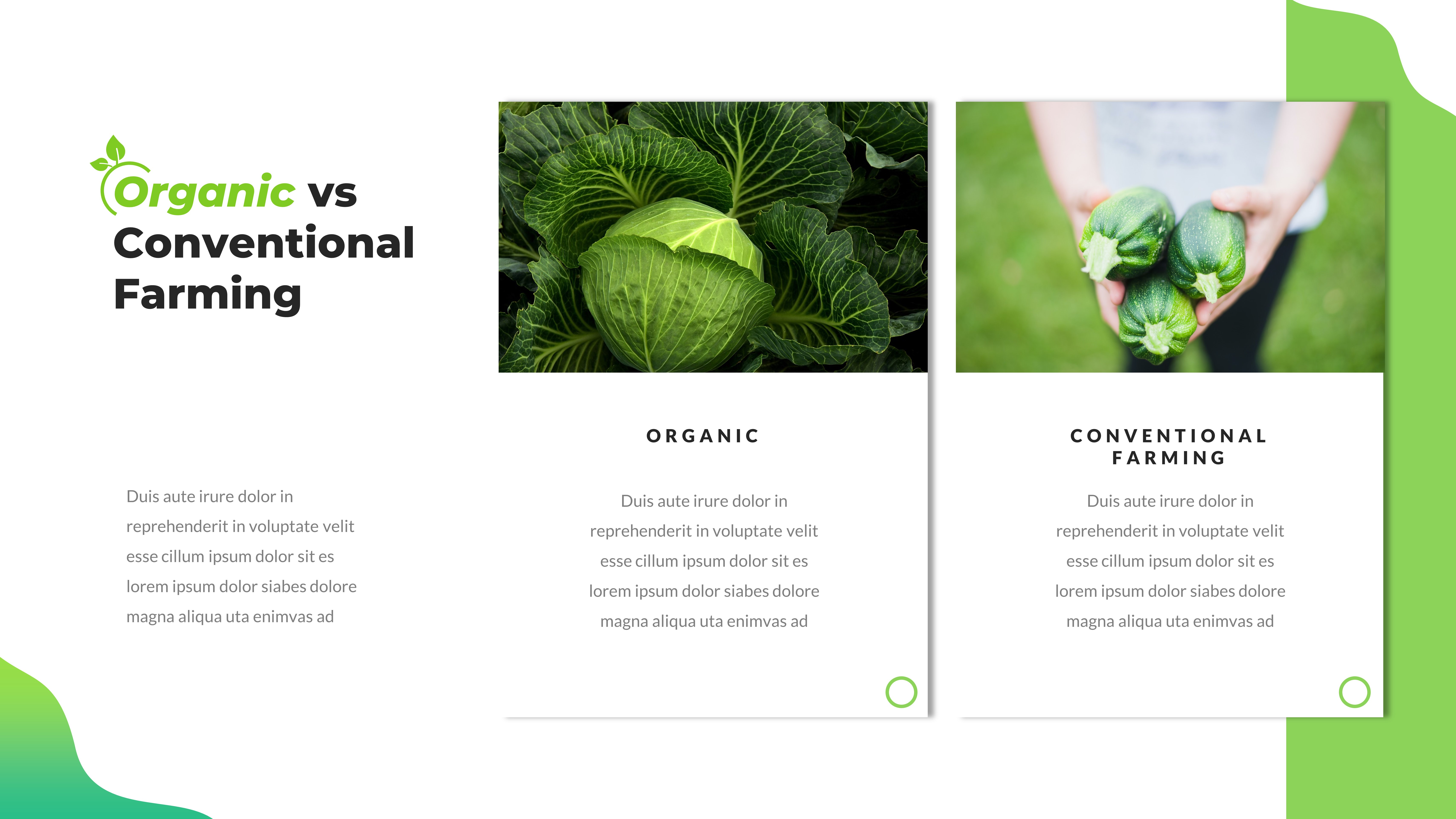 Organic Farm Agriculture Keynote Template, Presentation Templates ...