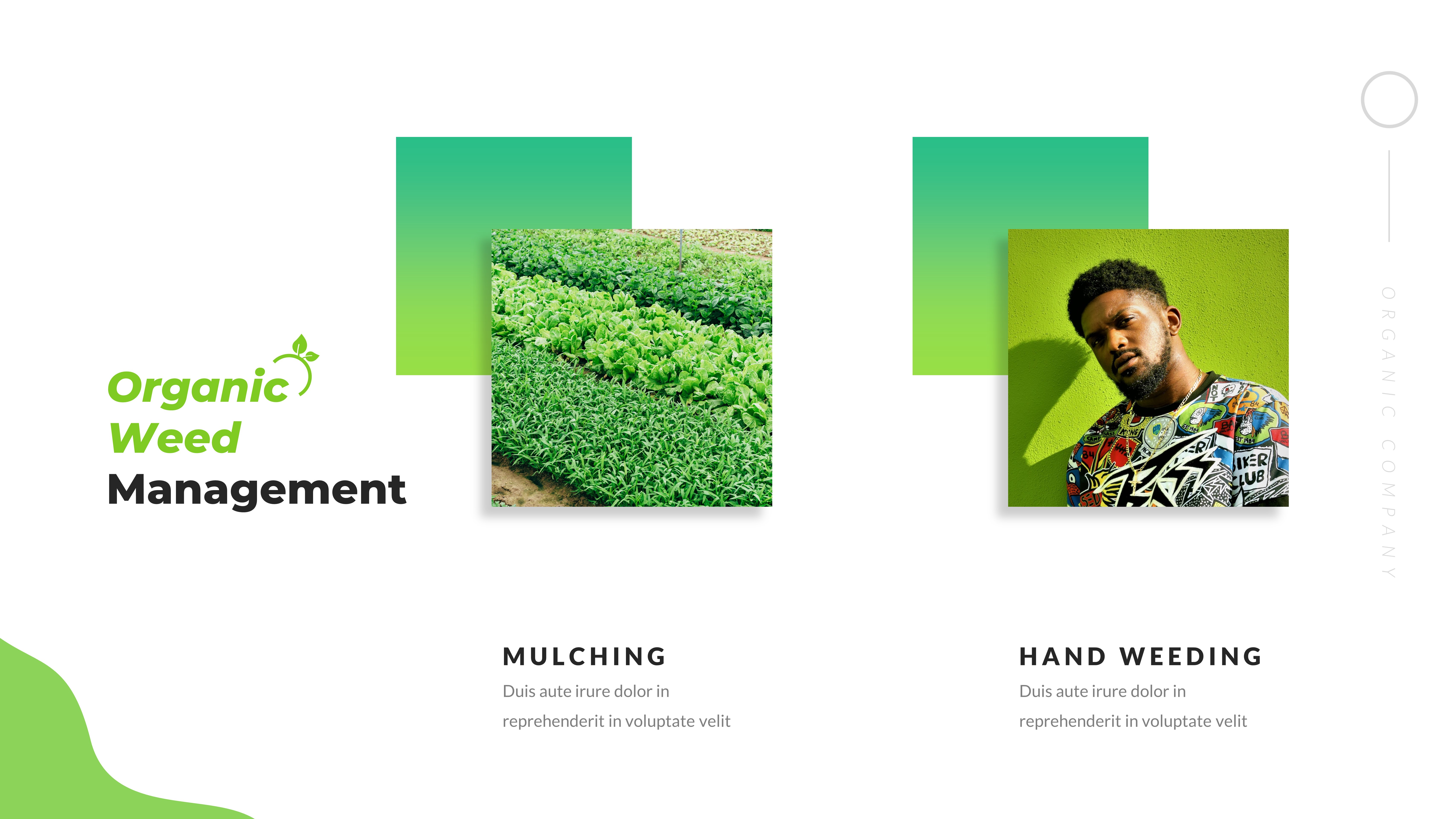 Organic Farm Agriculture Keynote Template, Presentation Templates ...