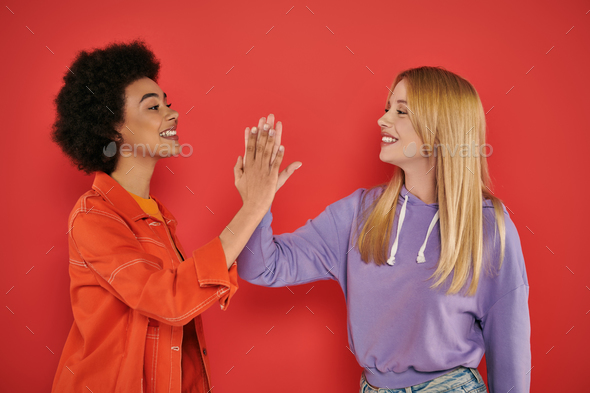 Diversity High Five