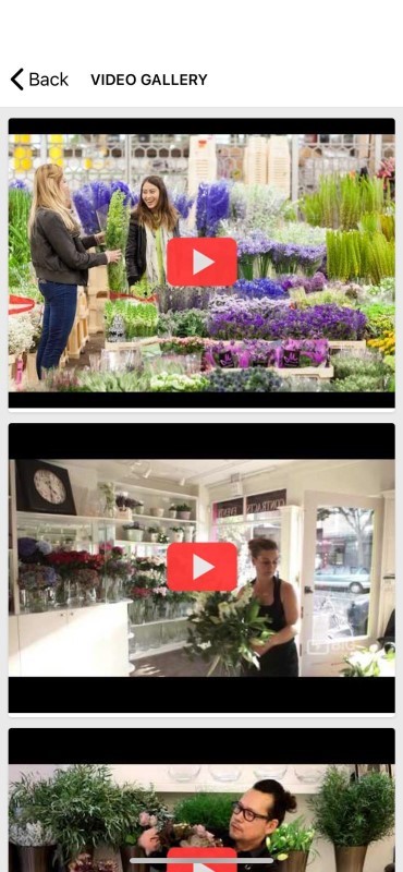 Florist App Online Flowers Bouquet Ordering Florists Floristry System ...