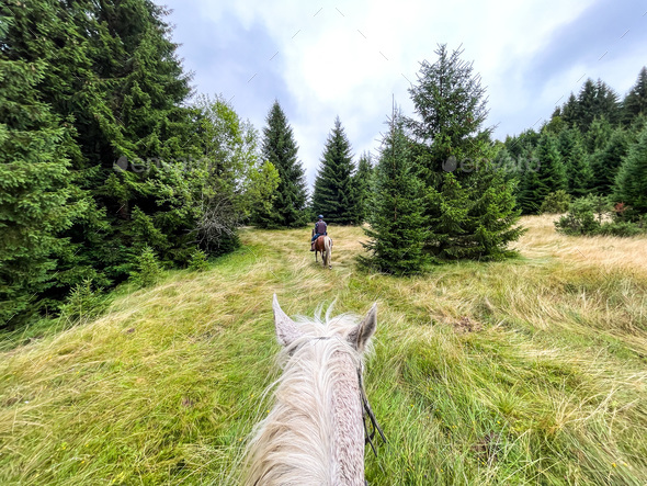Horse riding in nature Stock Photo by ivanat94 | PhotoDune
