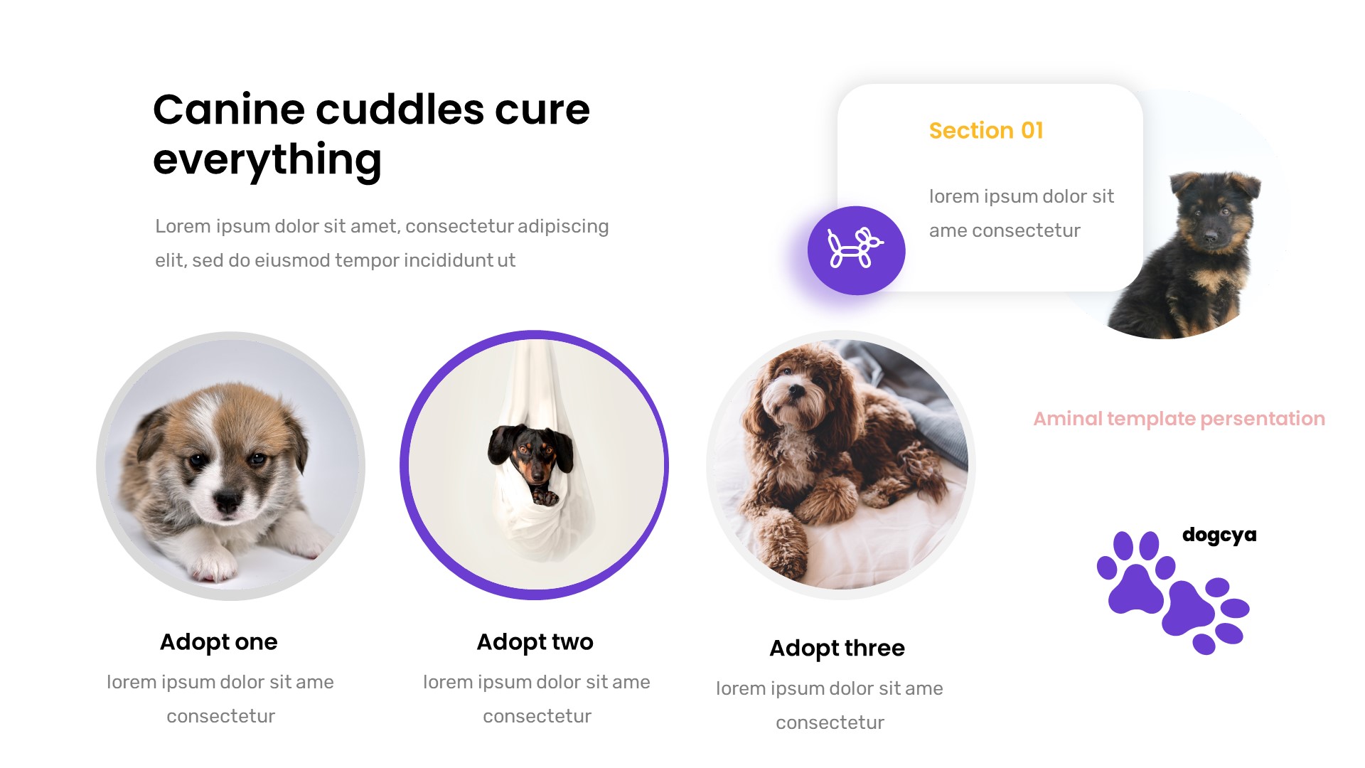 Dogcya - Pet Care and Veterinary Keynote Template, Presentation Templates