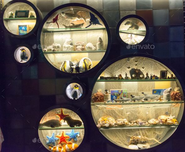 Showcase for marine objects Stock Photo by wirestock | PhotoDune