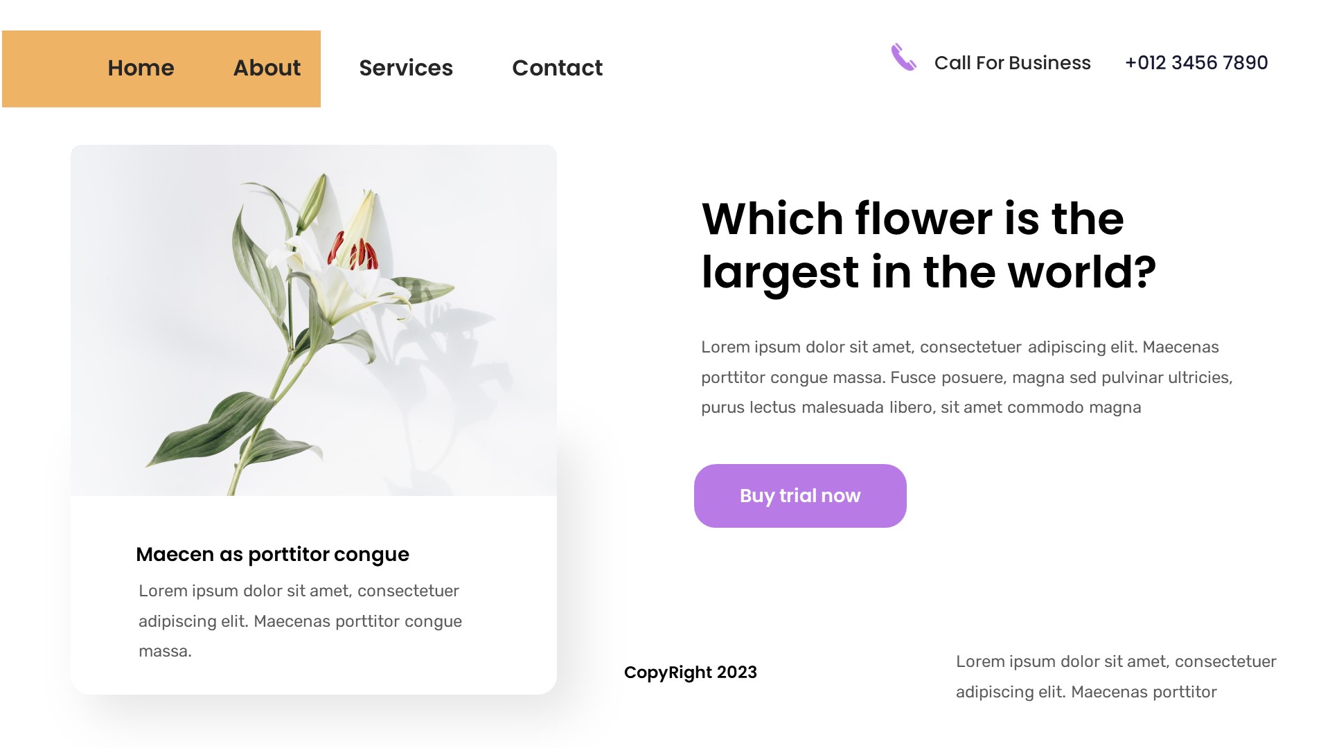 Kembang - Flower Shop and Garden Keynote Template, Presentation Templates