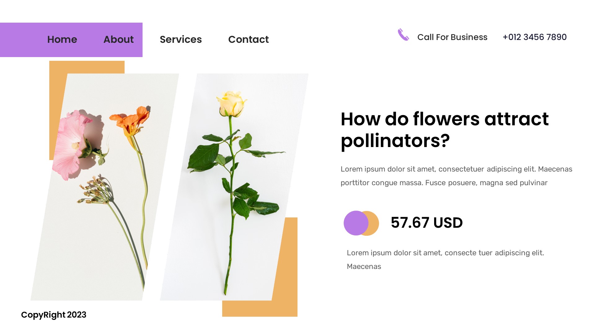 Kembang - Flower Shop and Garden Keynote Template, Presentation Templates