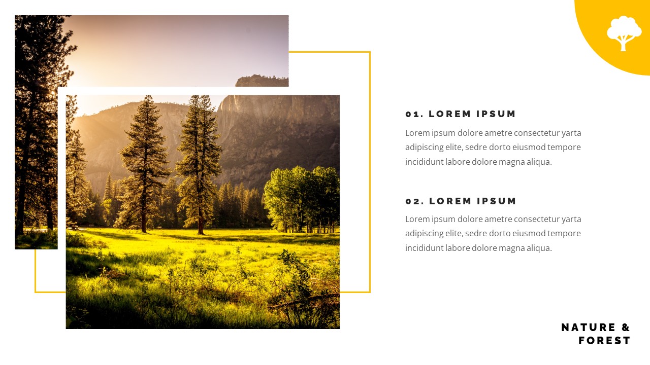 Foresta - Rain Forest Powerpoint Template, Presentation Templates ...