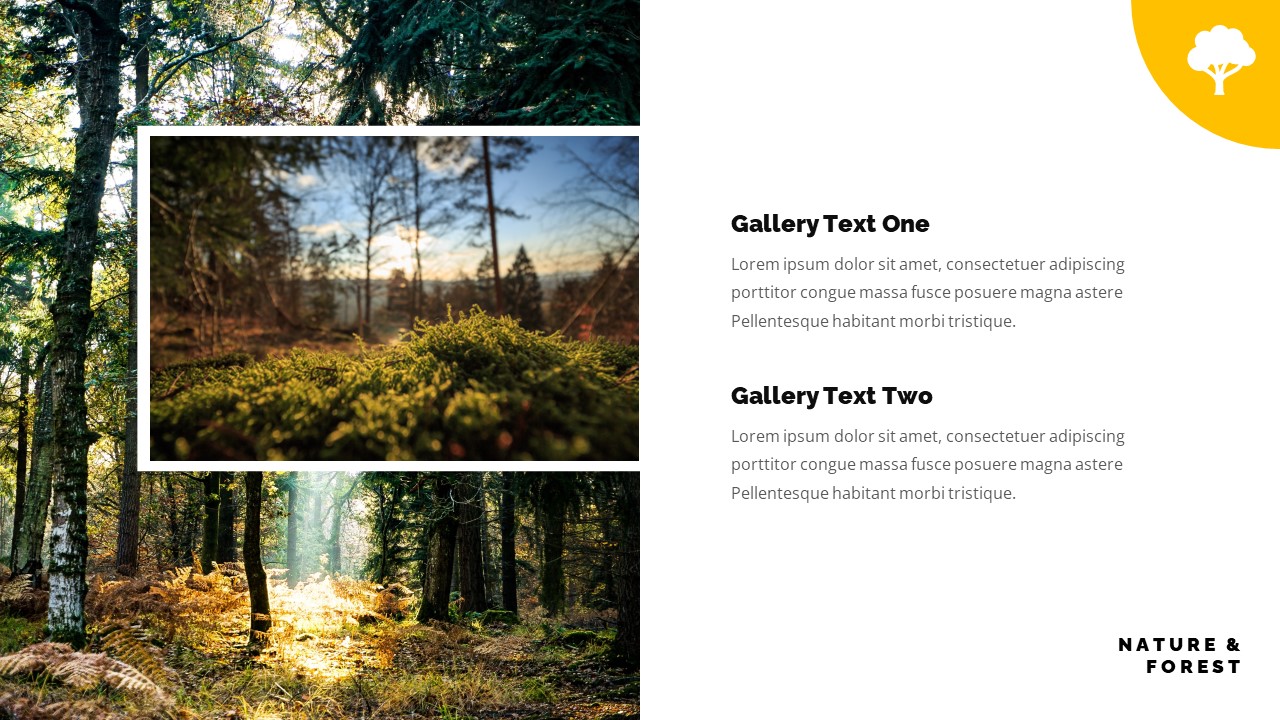 Foresta - Rain Forest Powerpoint Template, Presentation Templates ...