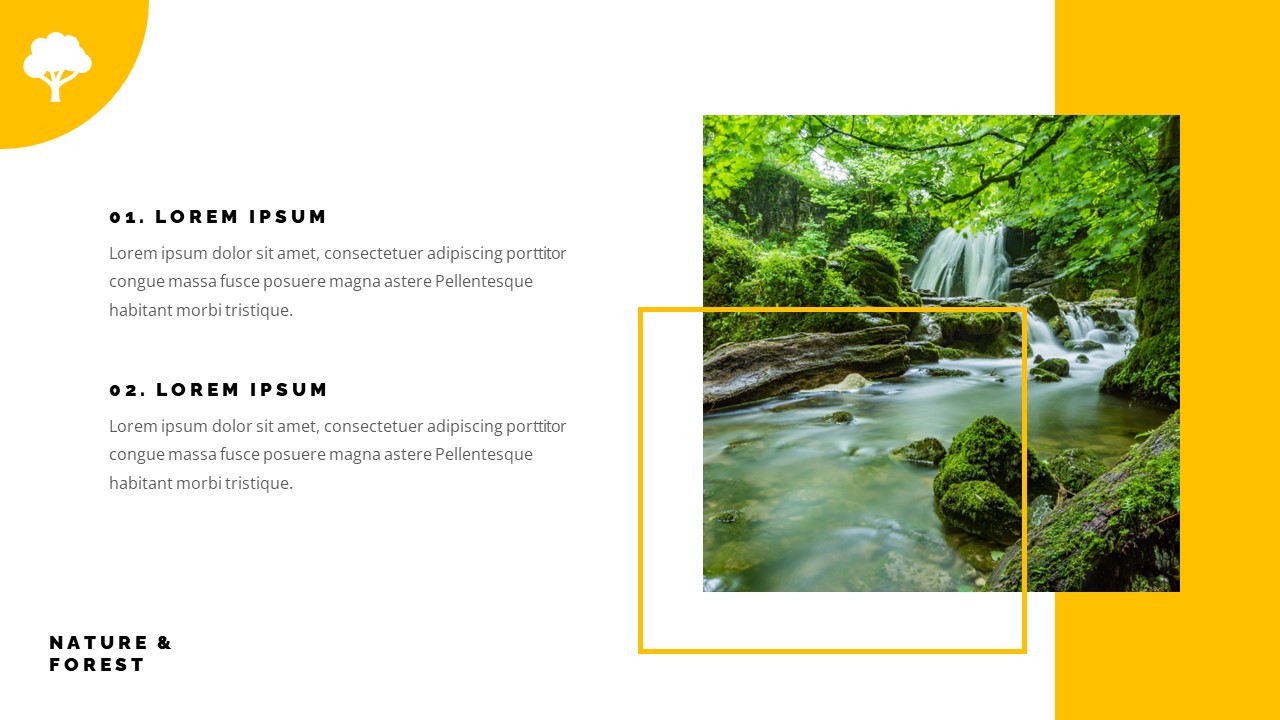 Foresta - Rain Forest Powerpoint Template, Presentation Templates ...