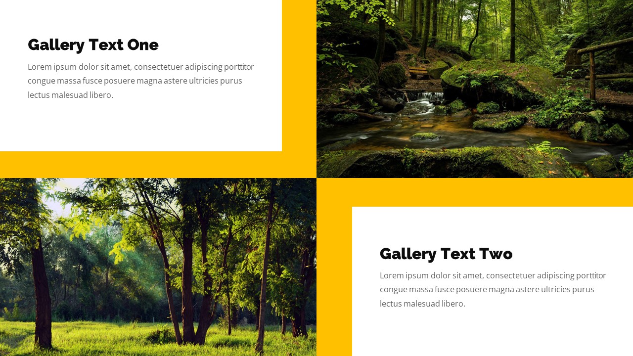 Foresta - Rain Forest Powerpoint Template, Presentation Templates ...