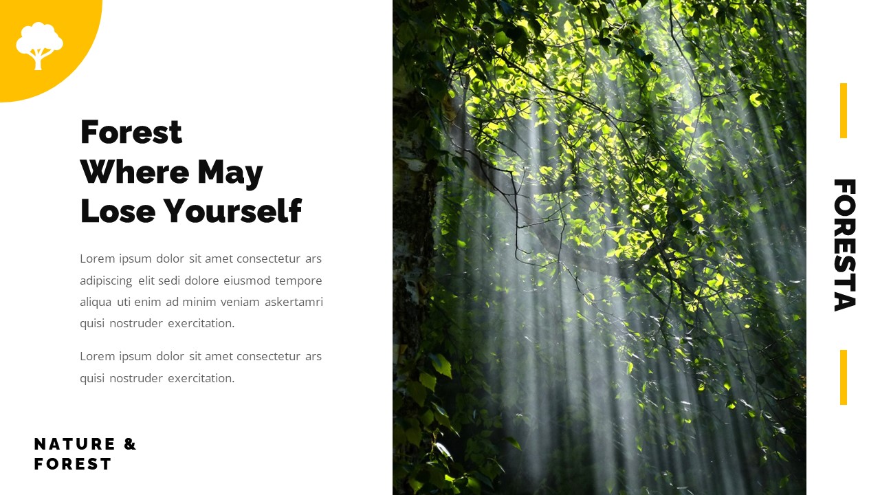 Foresta - Rain Forest Powerpoint Template, Presentation Templates ...