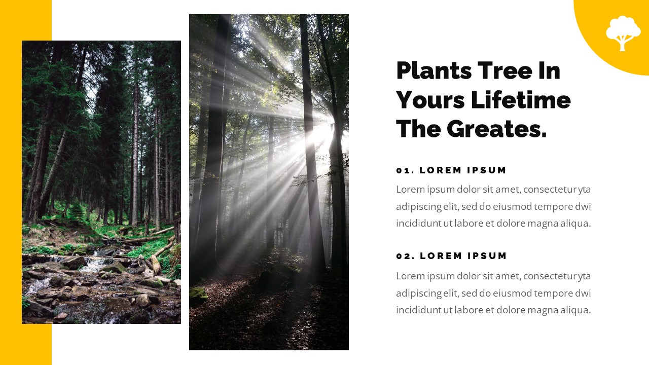 Foresta - Rain Forest Powerpoint Template, Presentation Templates ...