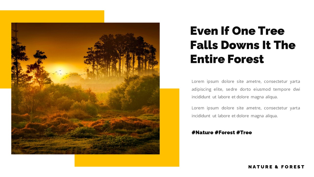 Foresta - Rain Forest Powerpoint Template, Presentation Templates ...