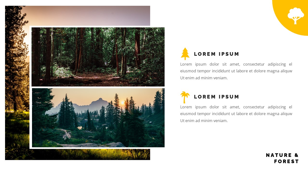 Foresta - Rain Forest Powerpoint Template, Presentation Templates ...
