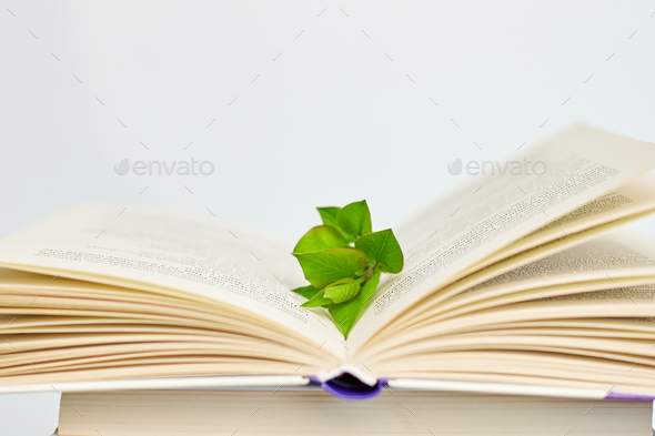 Open book, Stack of books with branch green leaves, World book day ...