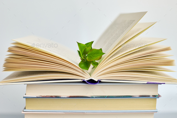 Open book, Stack of books with branch green leaves, World book day ...