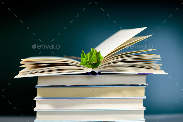 Open book, Stack of books with branch green leaves, World book day ...