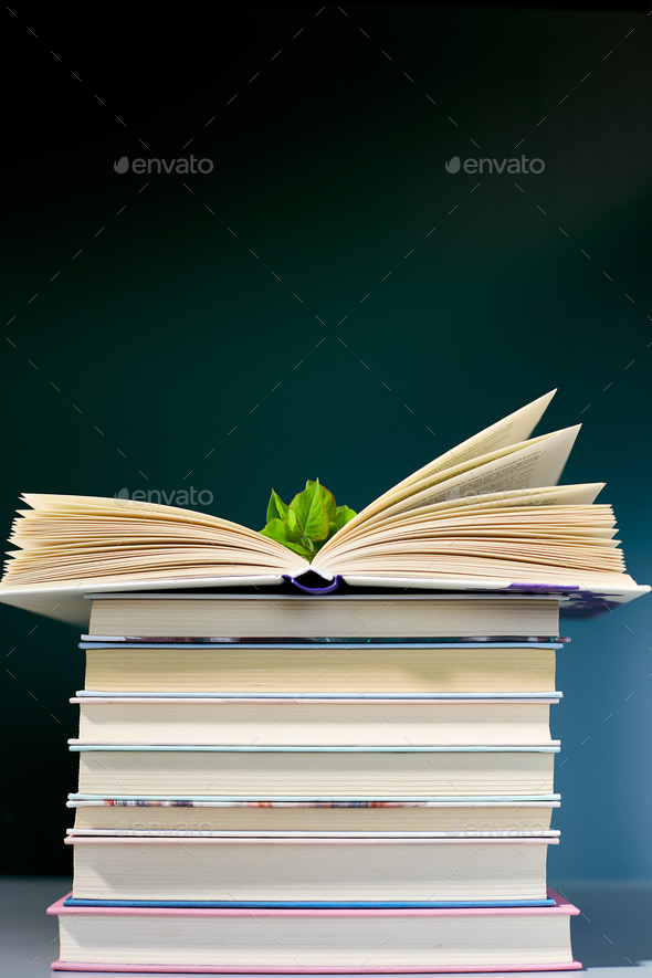 Open book, Stack of books with branch green leaves, World book day ...