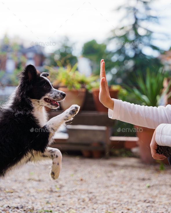 Cute High Five