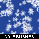 30 Highly detailed Snowflake Brushes, Add-ons | GraphicRiver