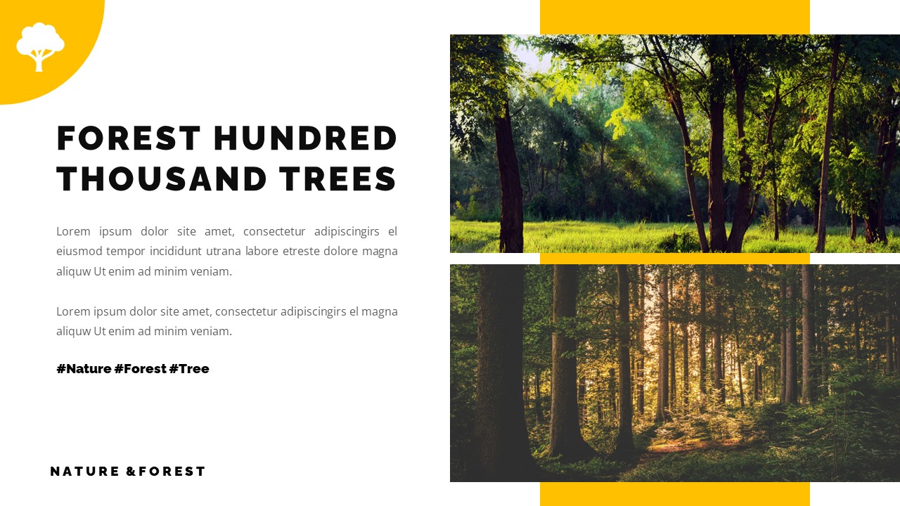 Foresta - Rain Forest Town Google Slides Template, Presentation Templates