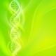 DNA Magic Figures., Vectors | GraphicRiver