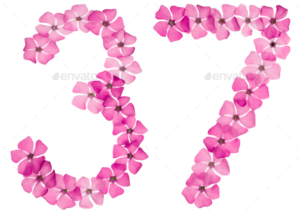 Numeral 37, thirty seven, from natural pink flowers of periwinkle ...