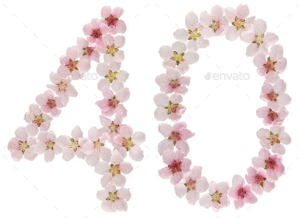 Numeral 40, forty, from natural pink flowers of peach tree, isolated on ...