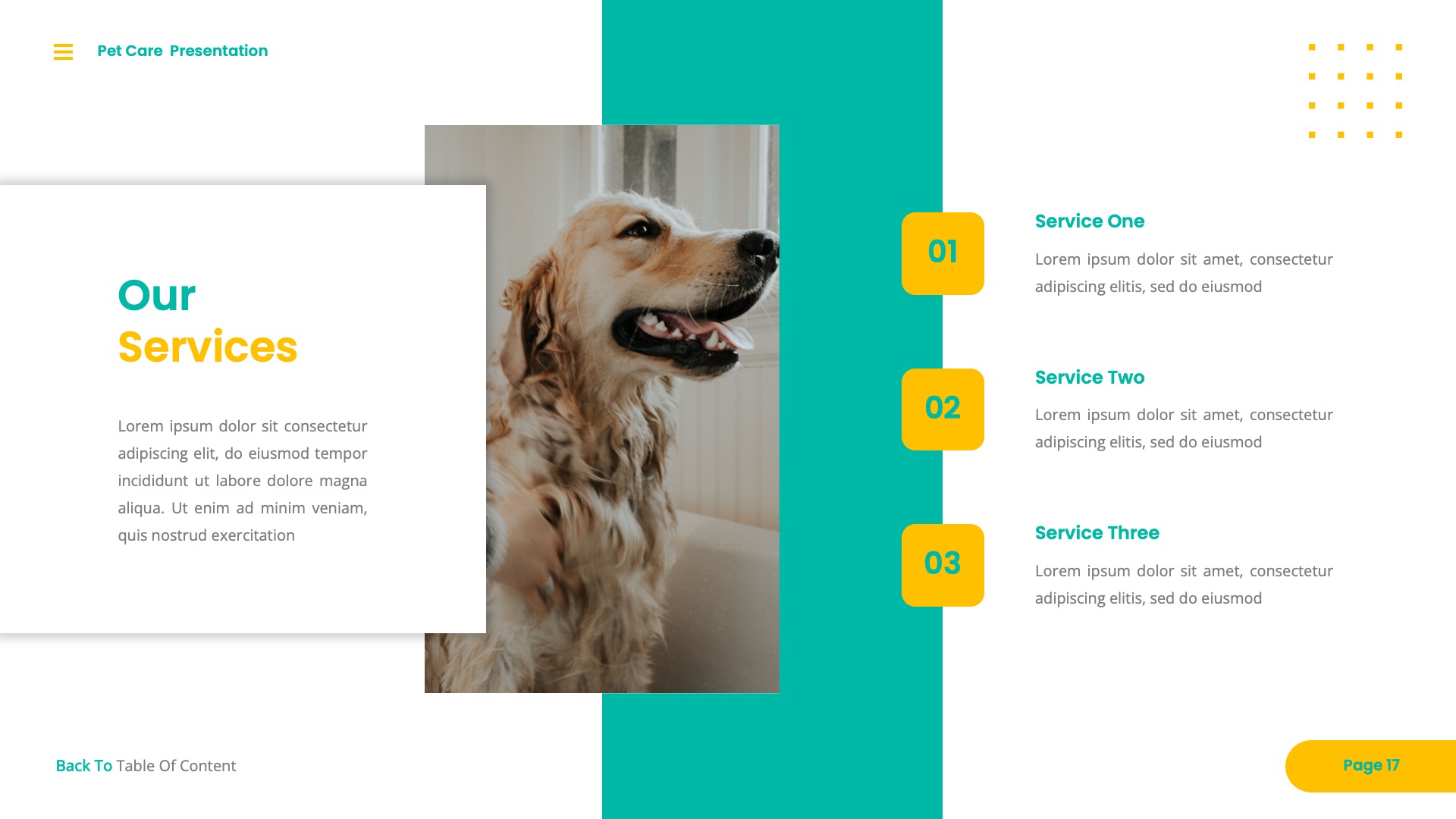 PetChip - Pet Care PowerPoint, Presentation Templates | GraphicRiver