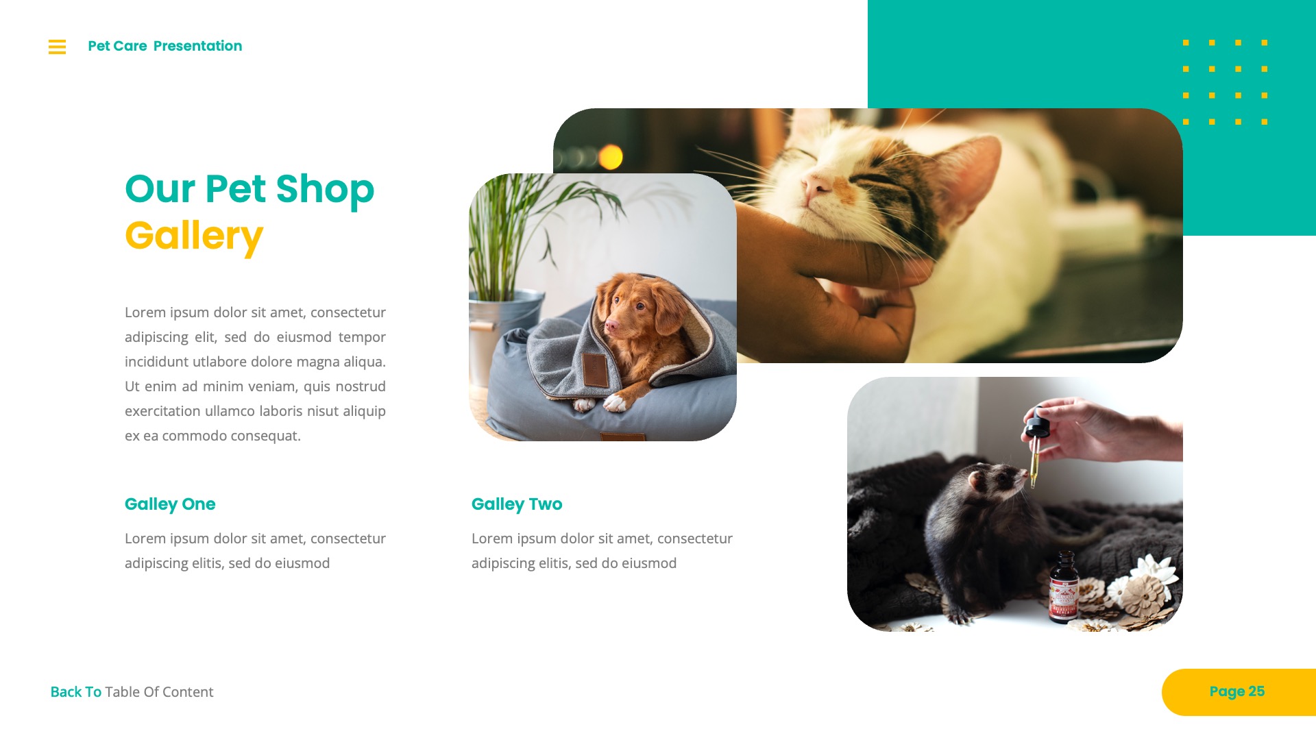 PetChip - Pet Care PowerPoint, Presentation Templates | GraphicRiver