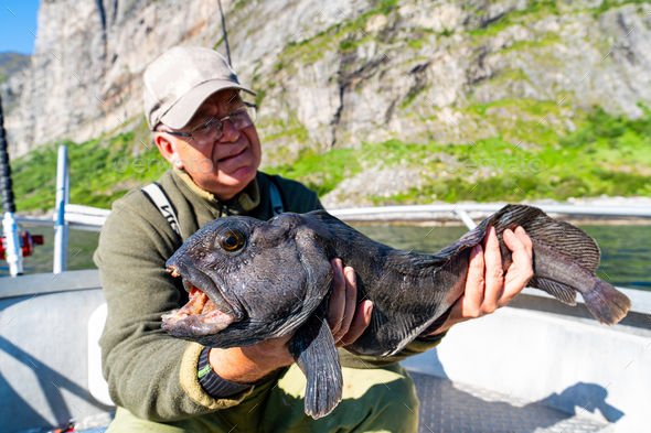 Fisherman with big wolffish near Lofoten, Senija, Alta Norway. Man ...
