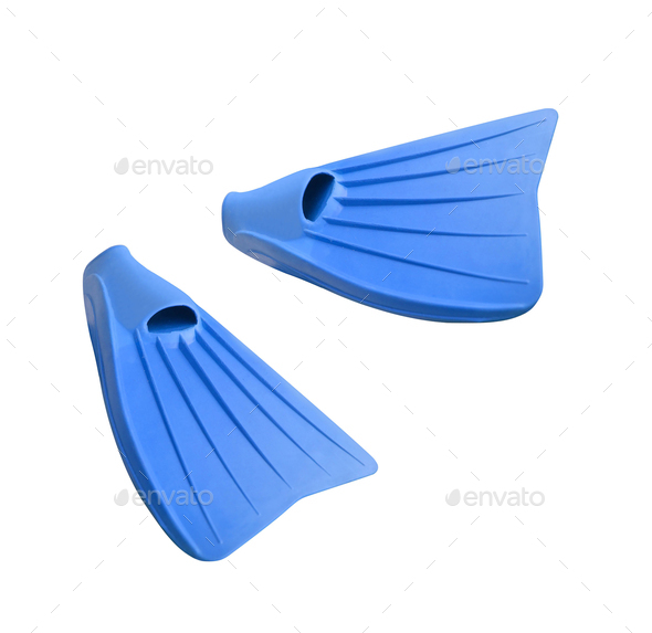 flipper isolated on white Stock Photo by photobalance | PhotoDune